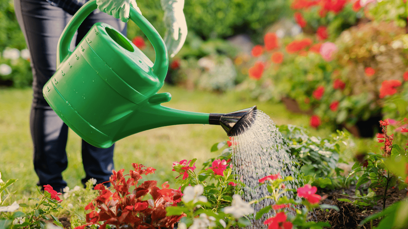 Your Summer Gardening Guide – Chelsea Garden Center