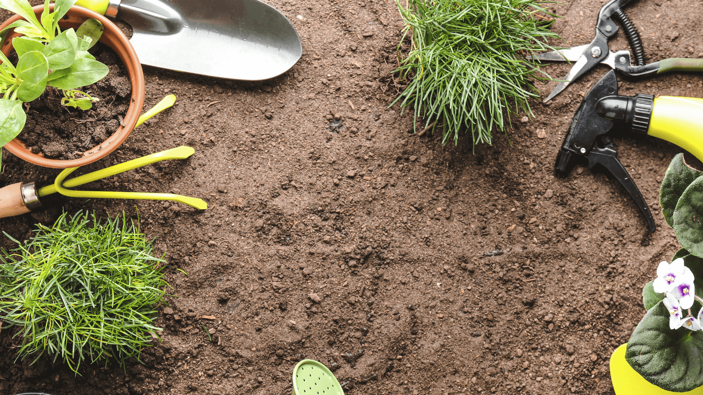 Planters & Garden Supplies – Chelsea Garden Center