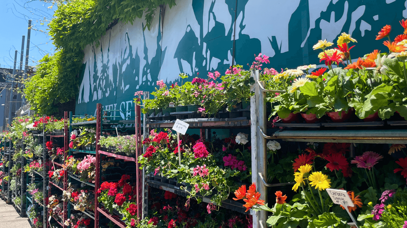 New Outdoor Plant Arrivals | Spring Plants for Urban Gardens – Chelsea ...