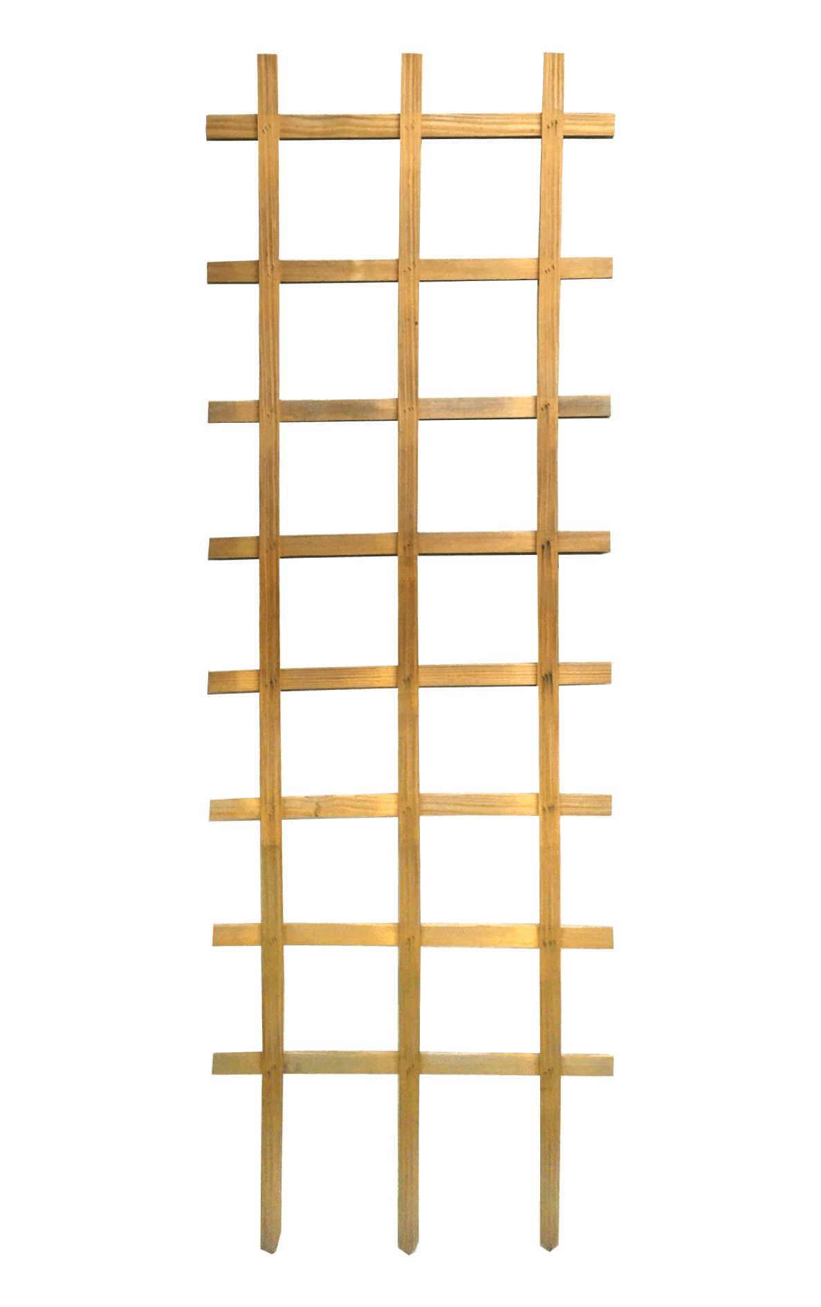 Straightliner Trellis – Chelsea Garden Center