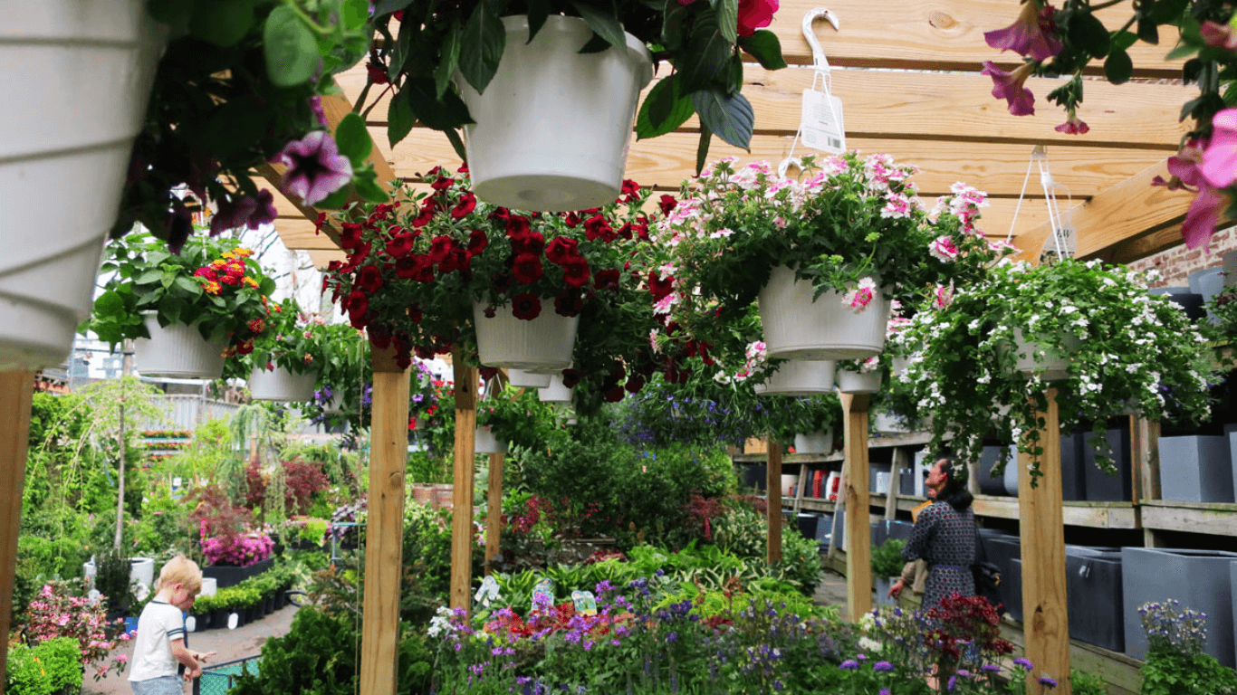 About Chelsea Garden Center