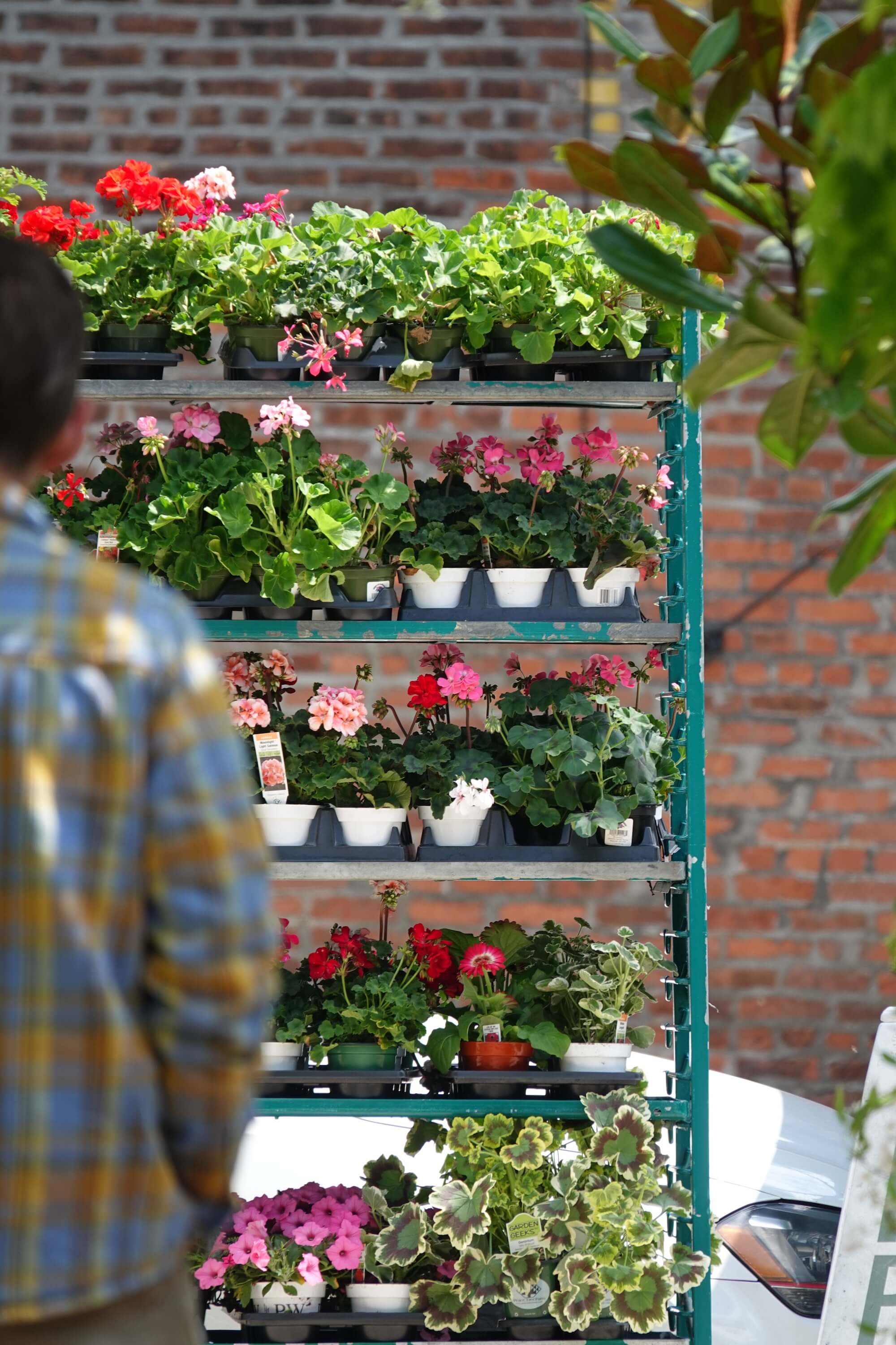 Chelsea Garden Center | Red Hook & Williamsburg