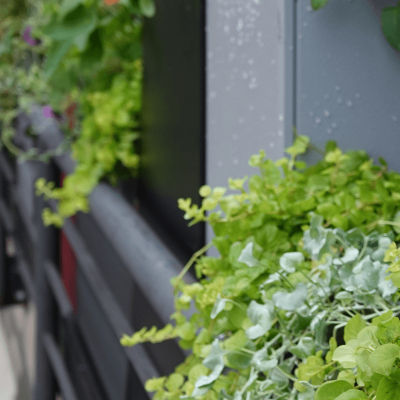 Chelsea Garden Center | Red Hook & Williamsburg