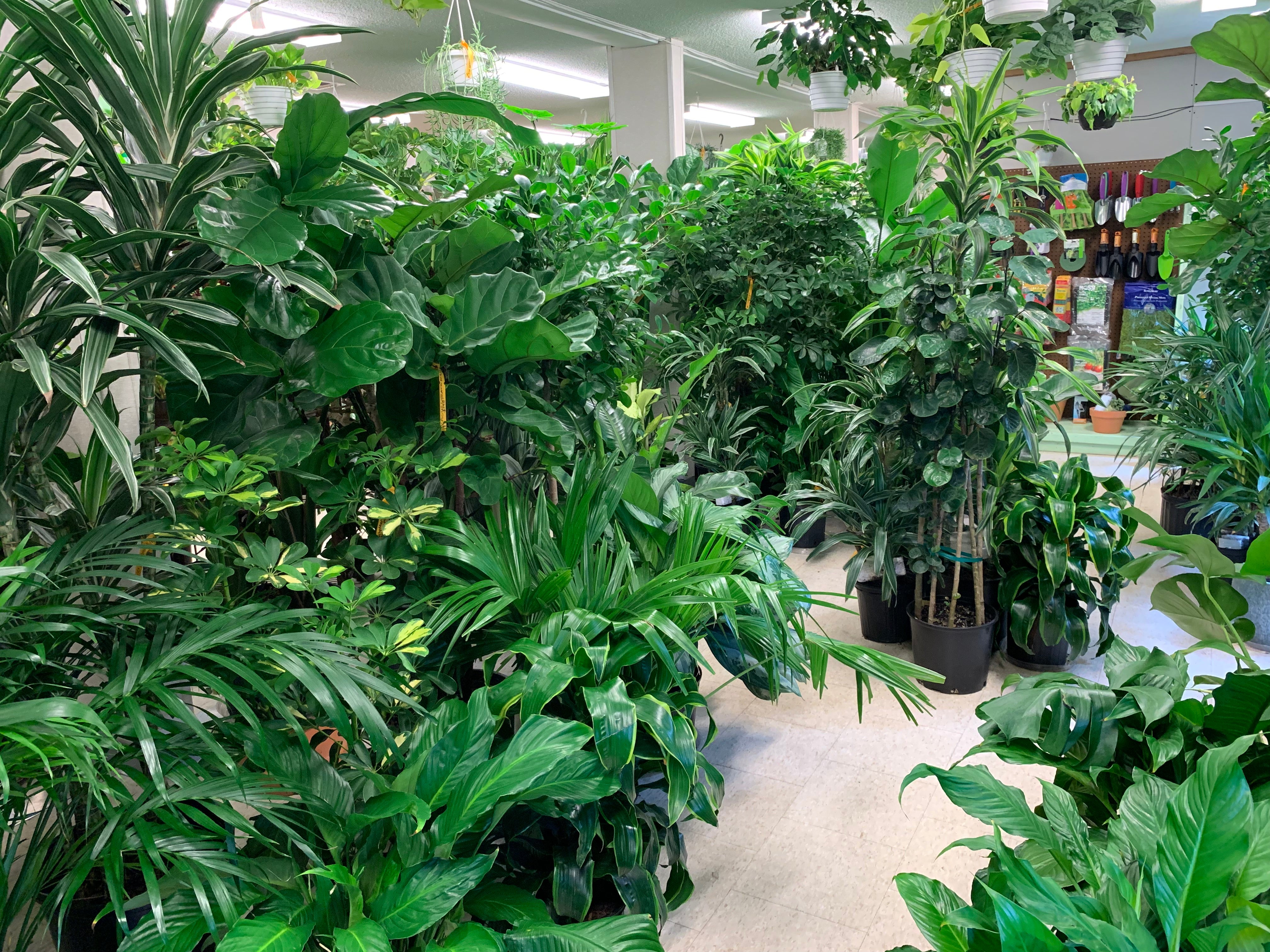 Chelsea Garden Center | Red Hook & Williamsburg