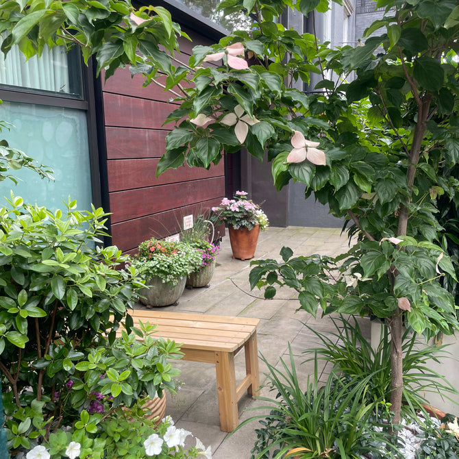 Valfei Potting Soil: Large (30 Liters) – Chelsea Garden Center