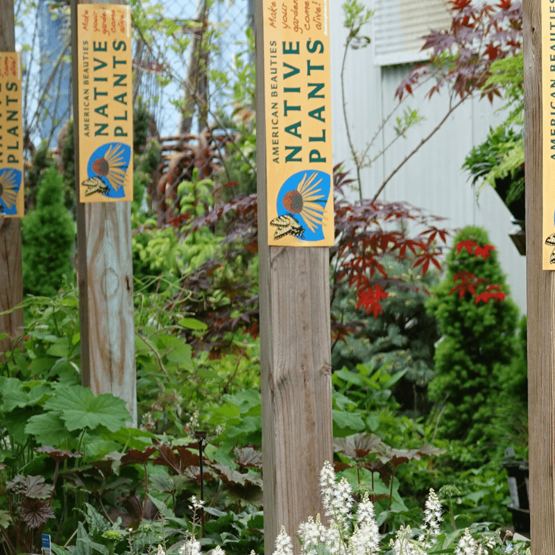 Chelsea Garden Center | Red Hook & Williamsburg