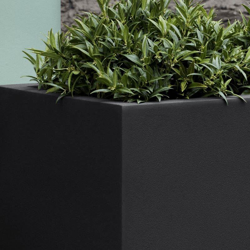 Chelsea Garden Center | Red Hook & Williamsburg