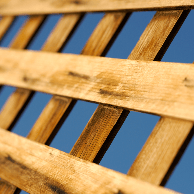 About Chelsea Garden Center