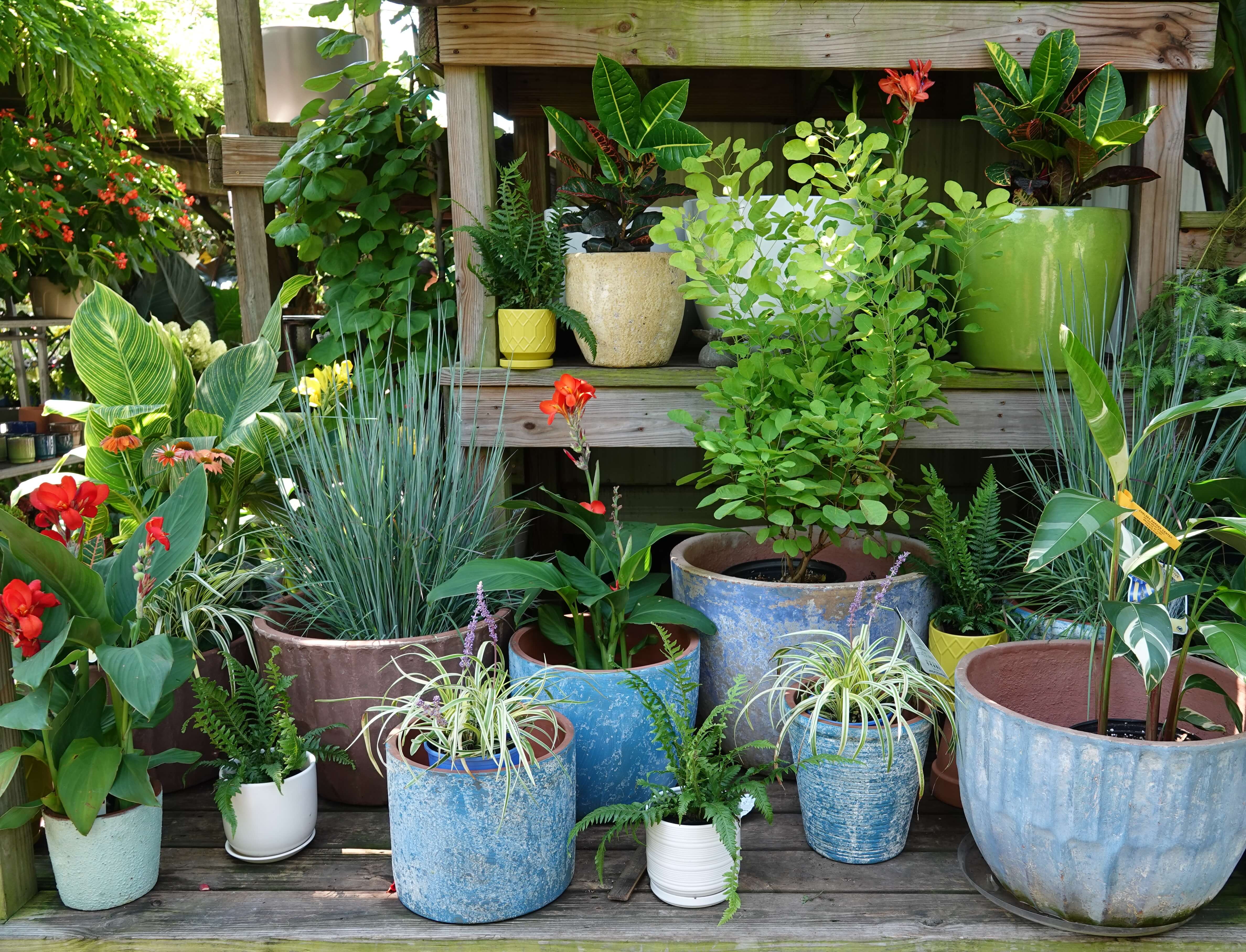 Chelsea Garden Center | Red Hook & Williamsburg